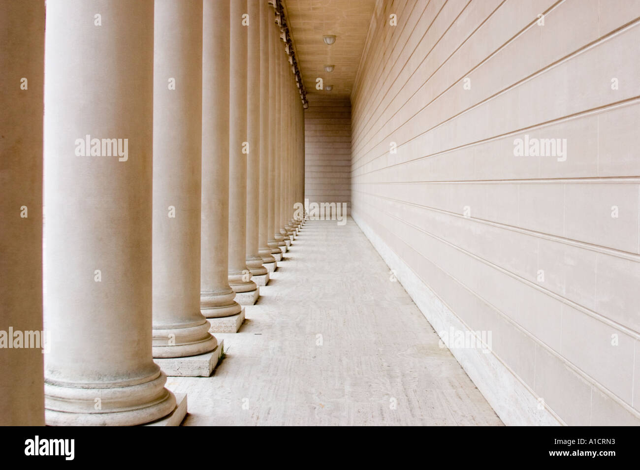Columns in the court yard at the Palace of the Legion of Honor San ...
