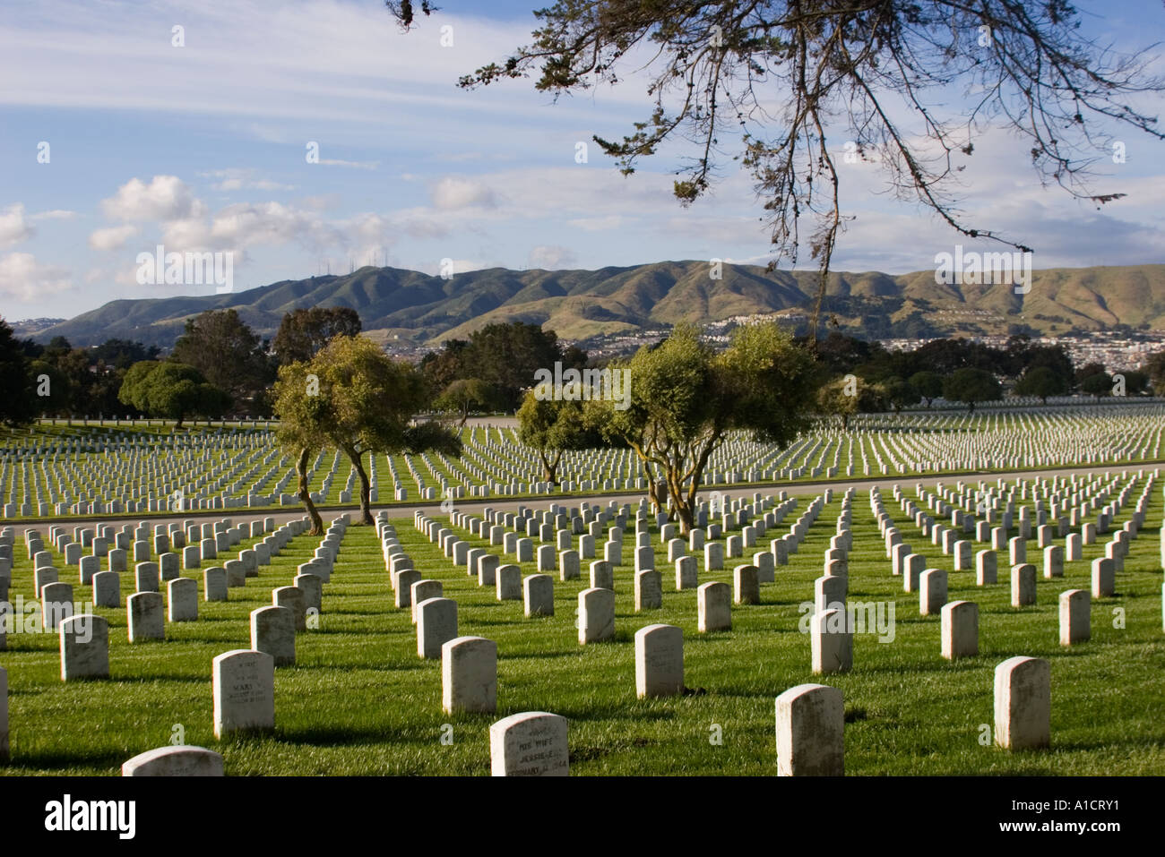 Golden Gate National Cemetery with San Bruno Mountain in the background ...