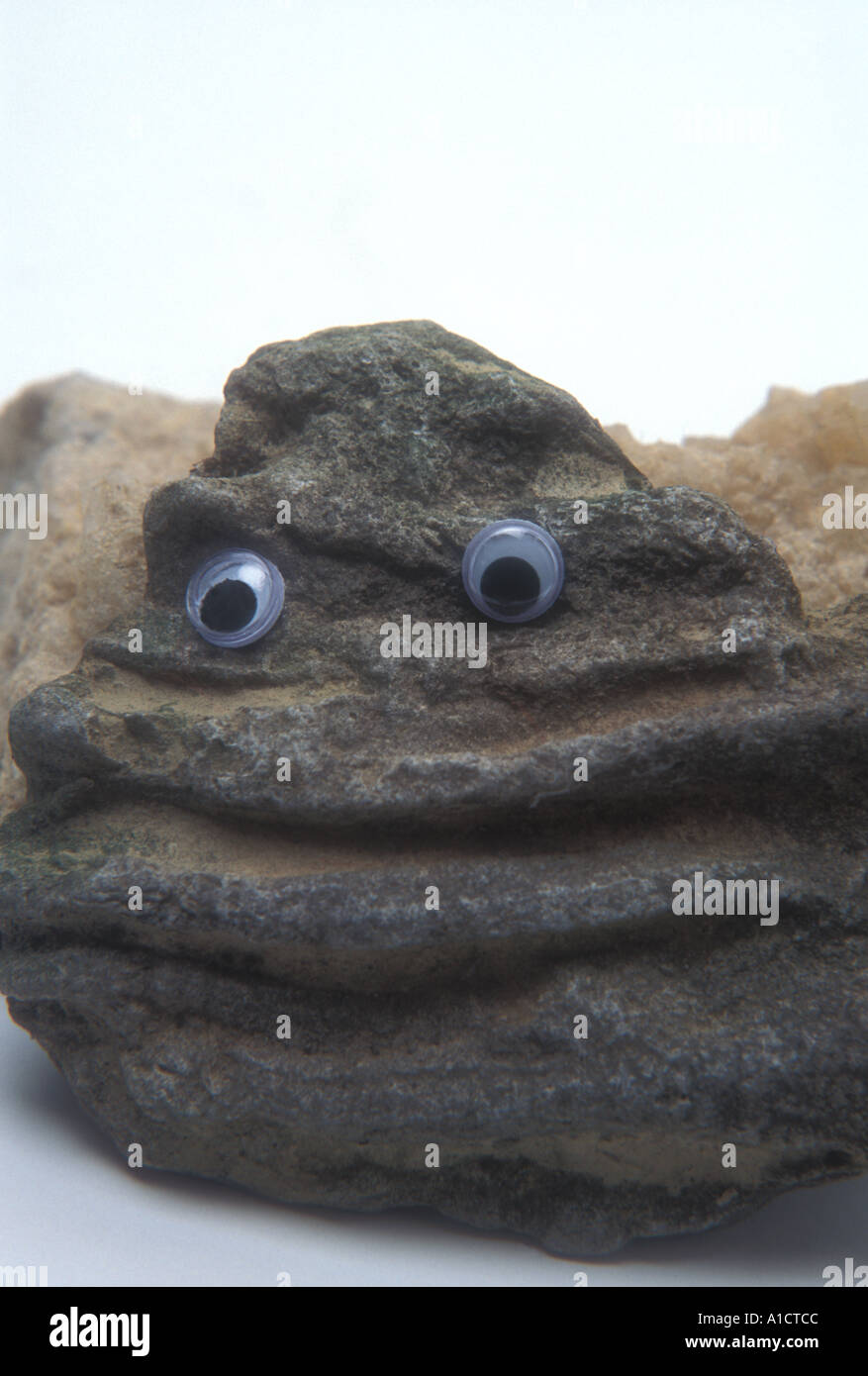 Funny looking rock hi-res stock photography and images - Alamy