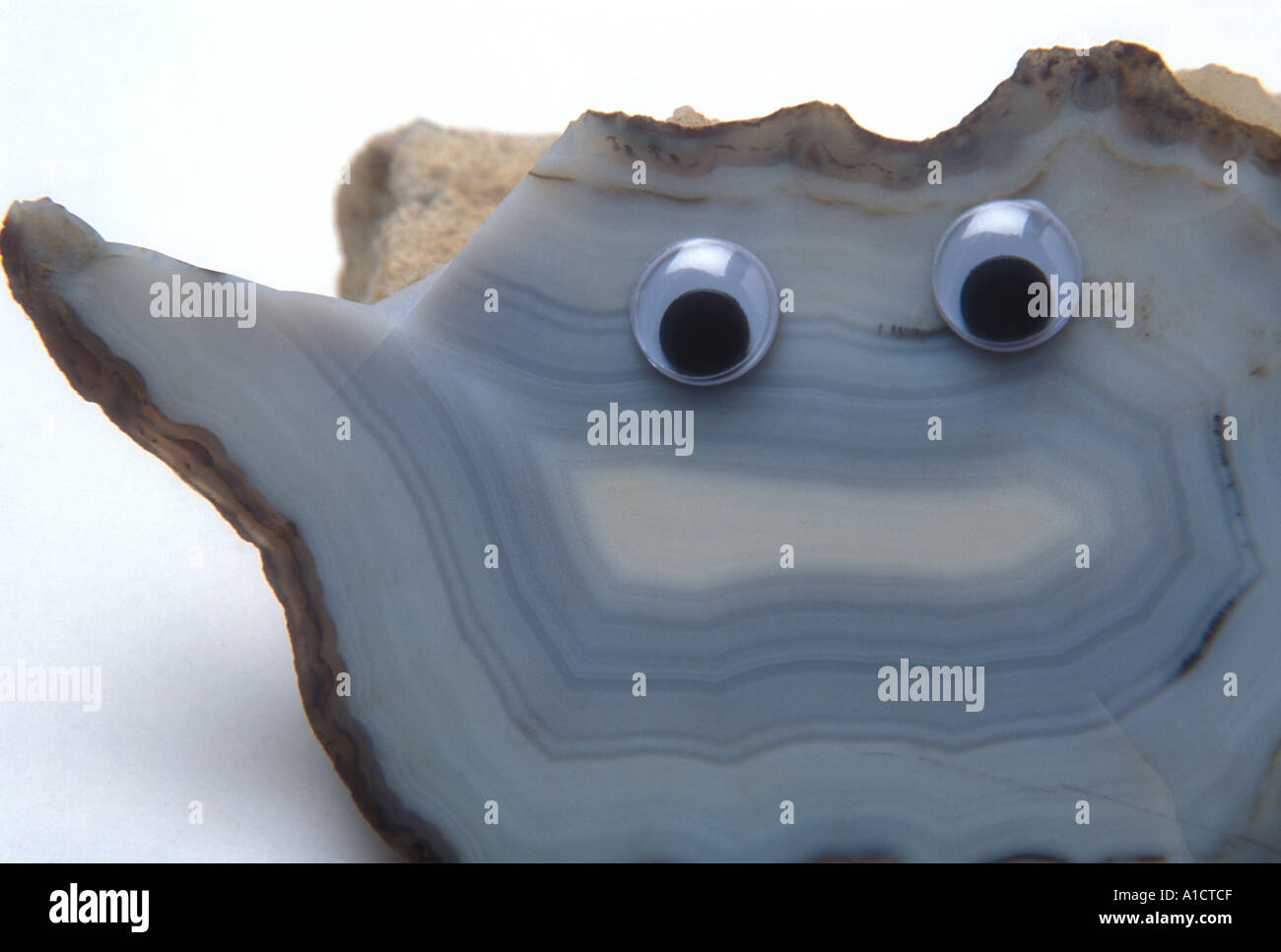 Inside indoors daytime daylight front view setup closeup funny hi-res ...