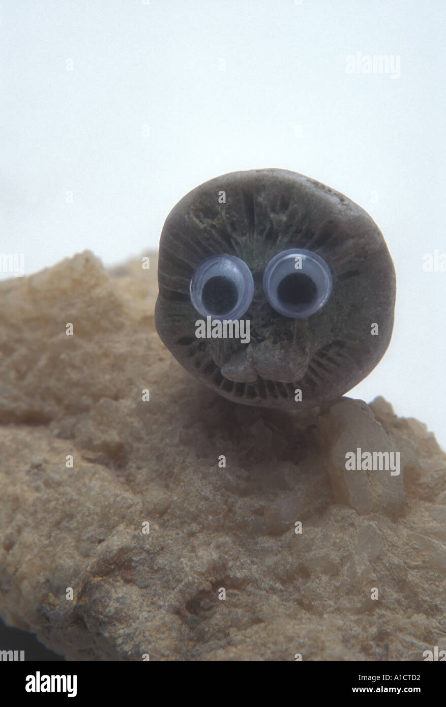 Cute Rock Face Stock Photo - Alamy