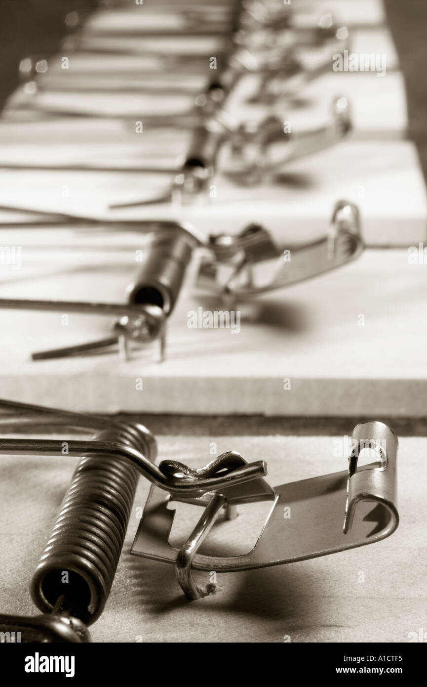 Mouse traps in line Stock Photo - Alamy