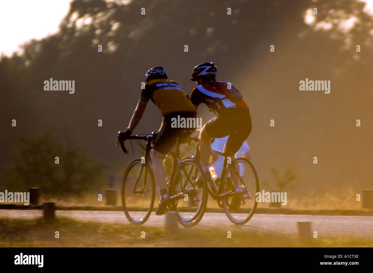europe uk england london cyclists commuting in richmond park Stock ...