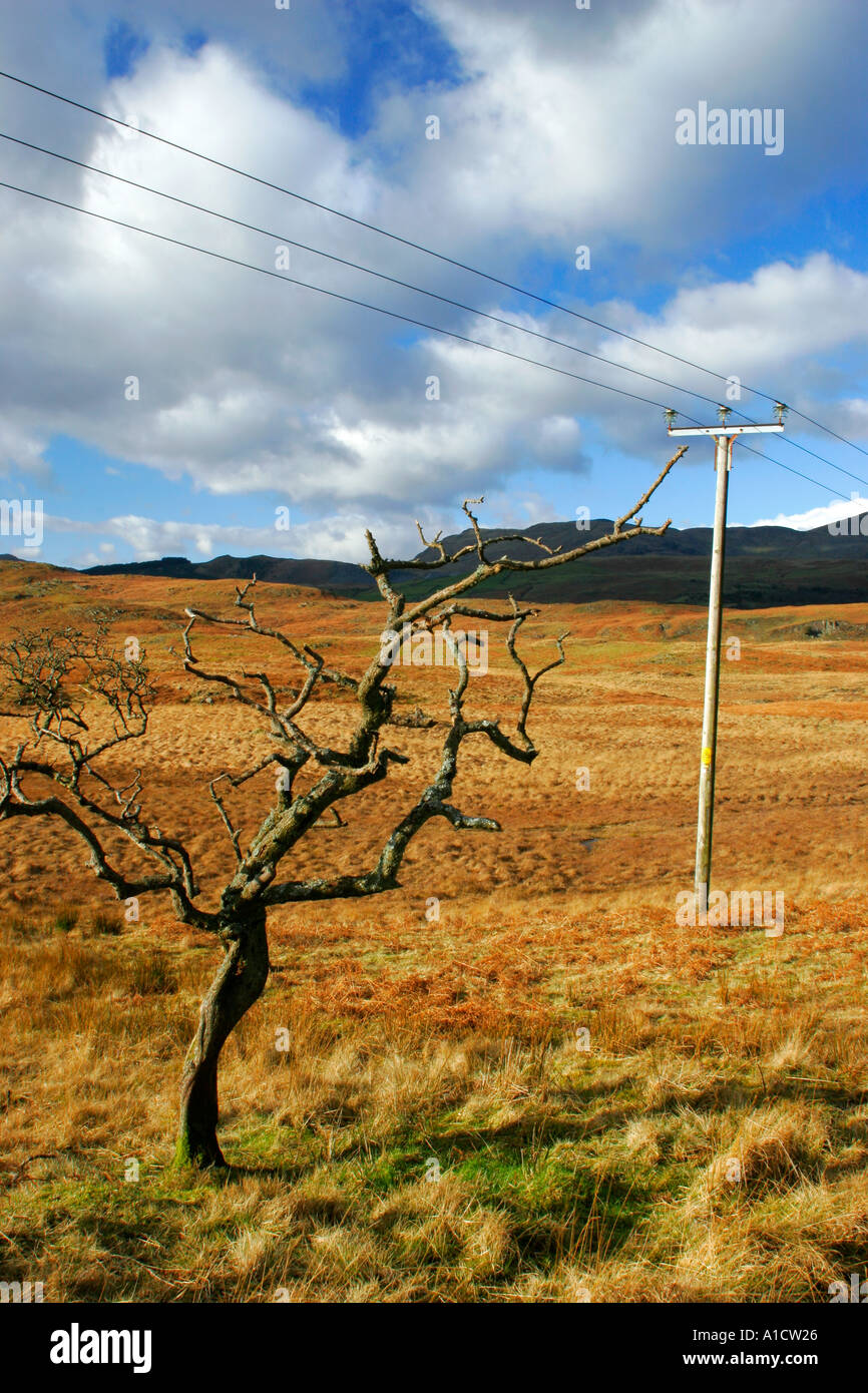 ENGLAND Cumbria Lake District National Park Power lines run across the ...