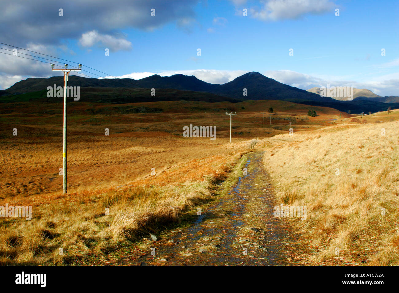 ENGLAND Cumbria Lake District National Park Power lines run across the ...