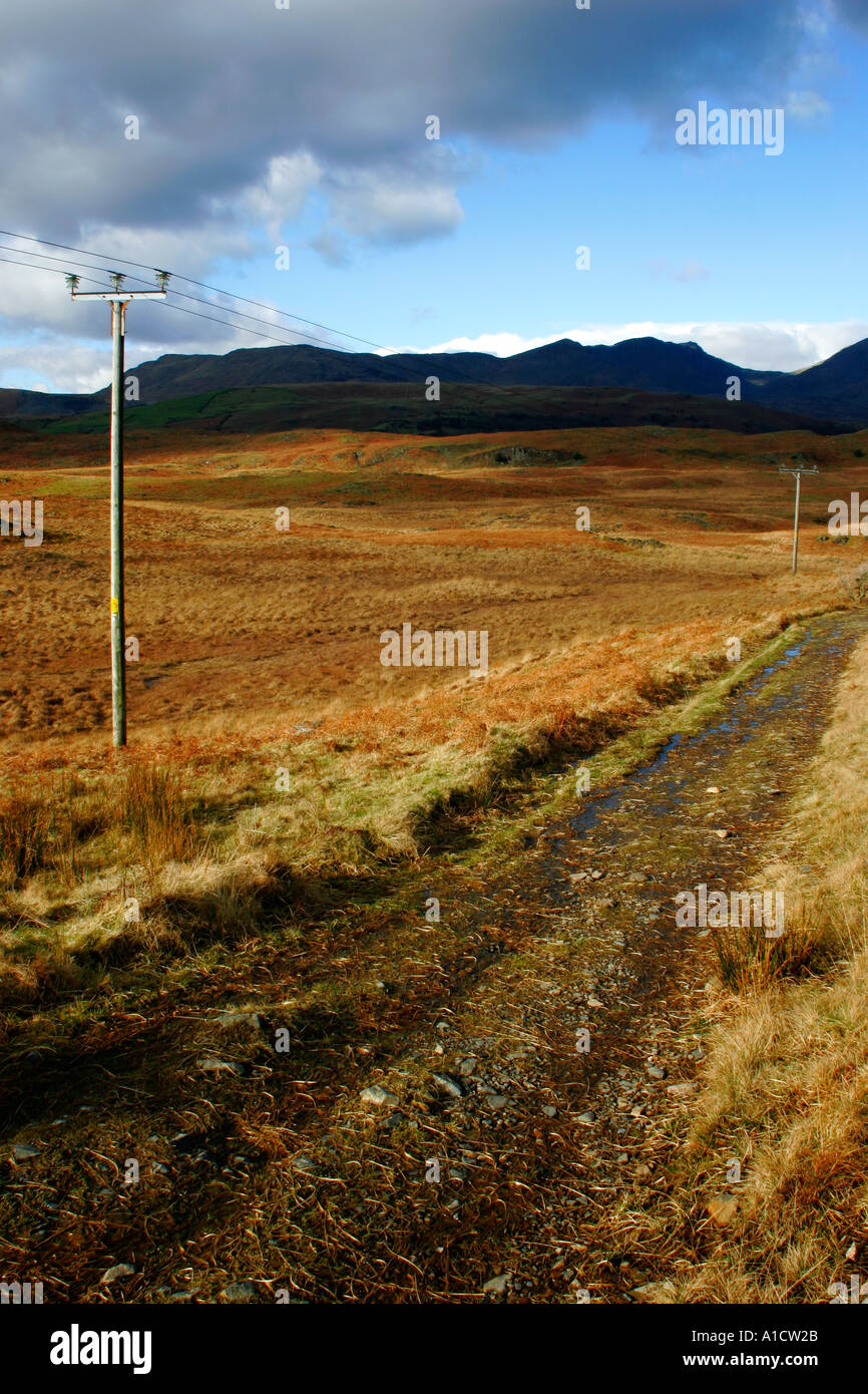 ENGLAND Cumbria Lake District National Park Power lines run across the ...
