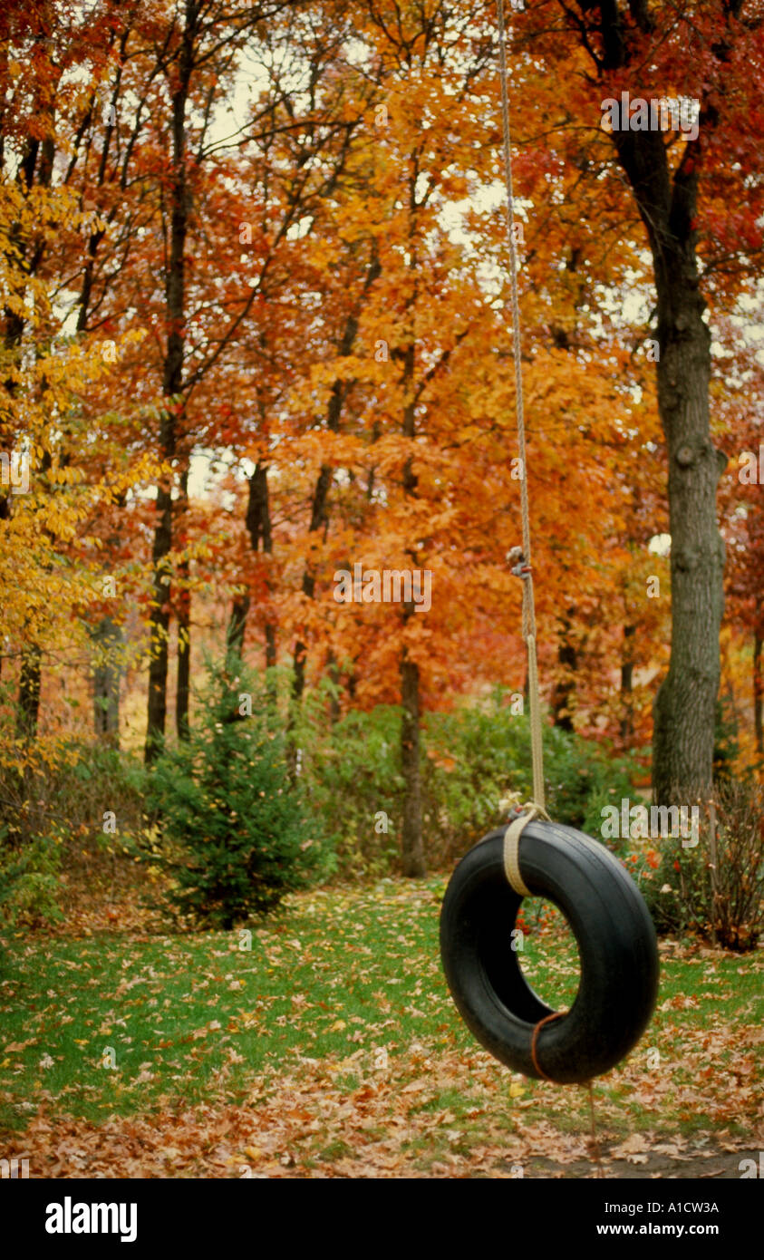 Tire swing in the autumn Stock Photo - Alamy