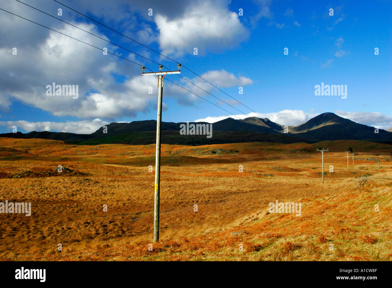 ENGLAND Cumbria Lake District National Park Power lines run across the ...