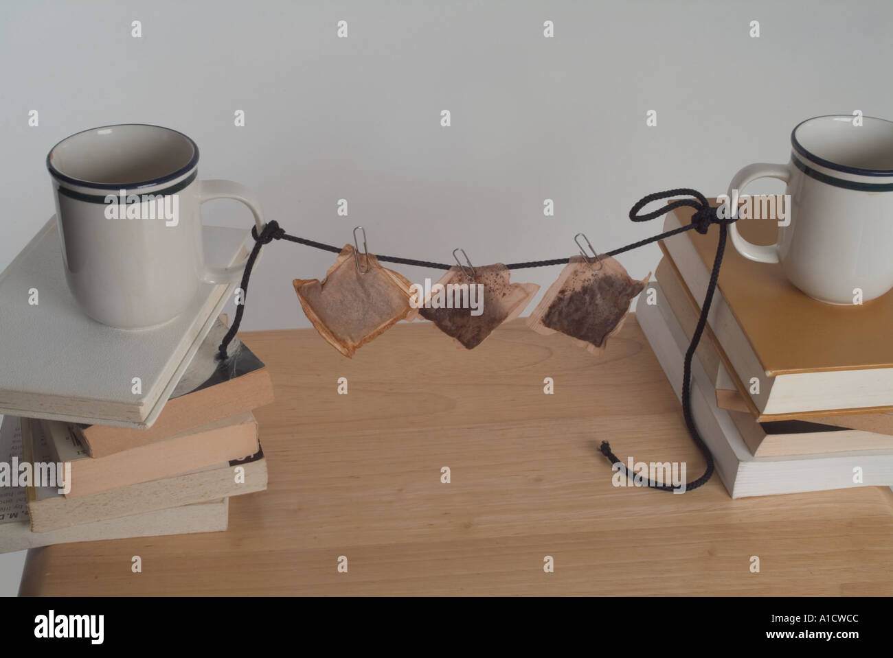 Tea bags drying on a boot lace line attached by paper clips They are ...