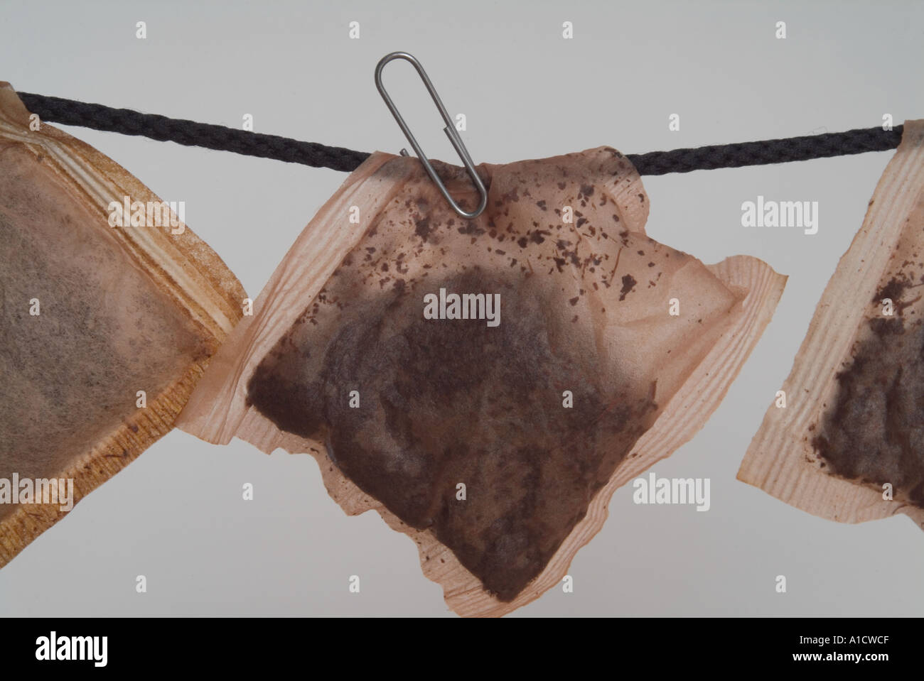 Wise up to waste hi-res stock photography and images - Alamy