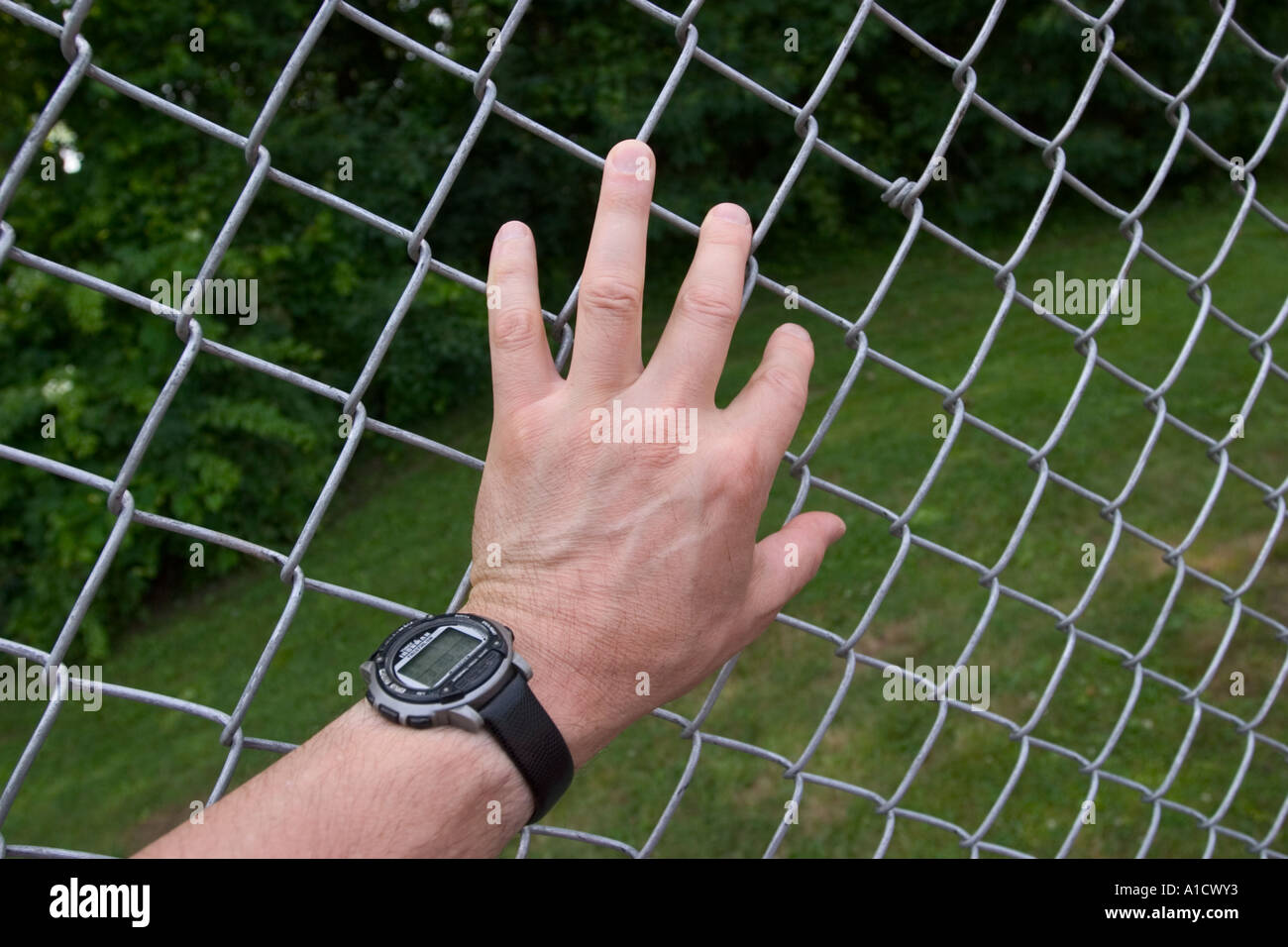 Male hand holding onto a chain link fence Stock Photo - Alamy