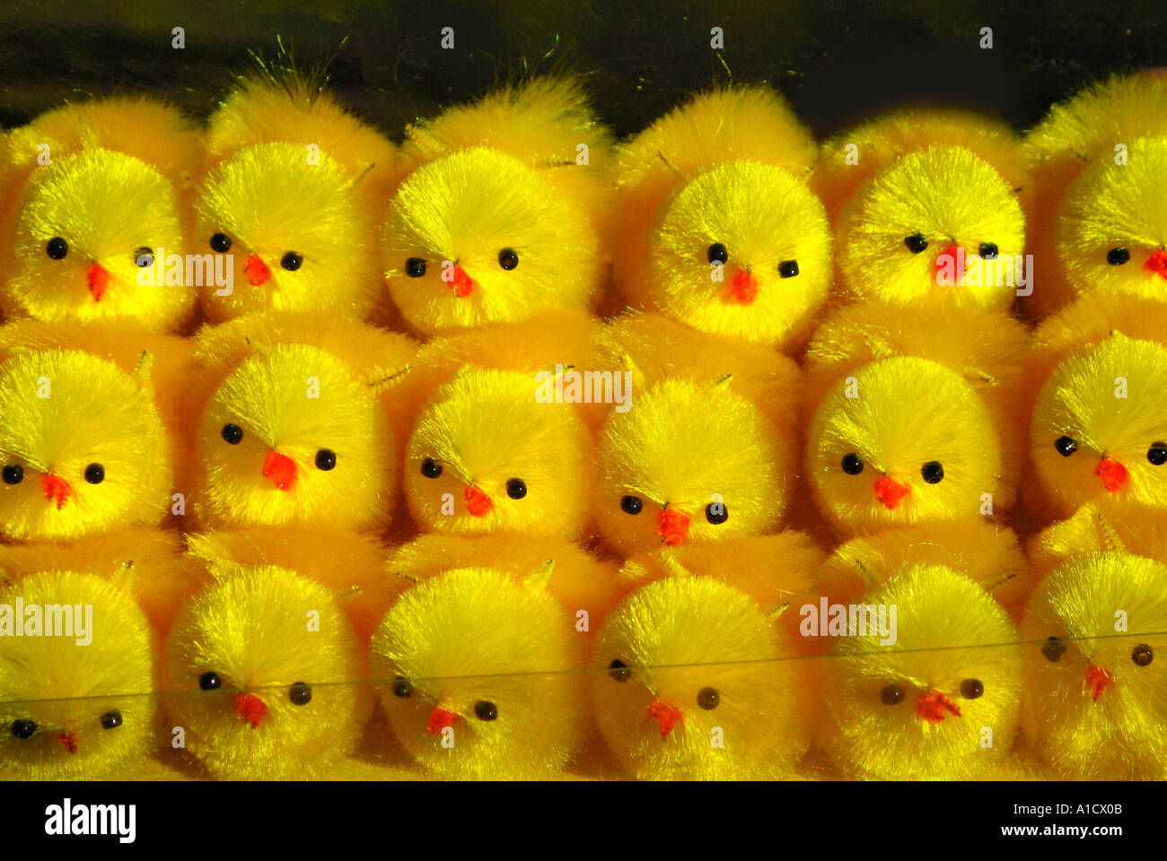 Baby chickens box hi-res stock photography and images - Alamy