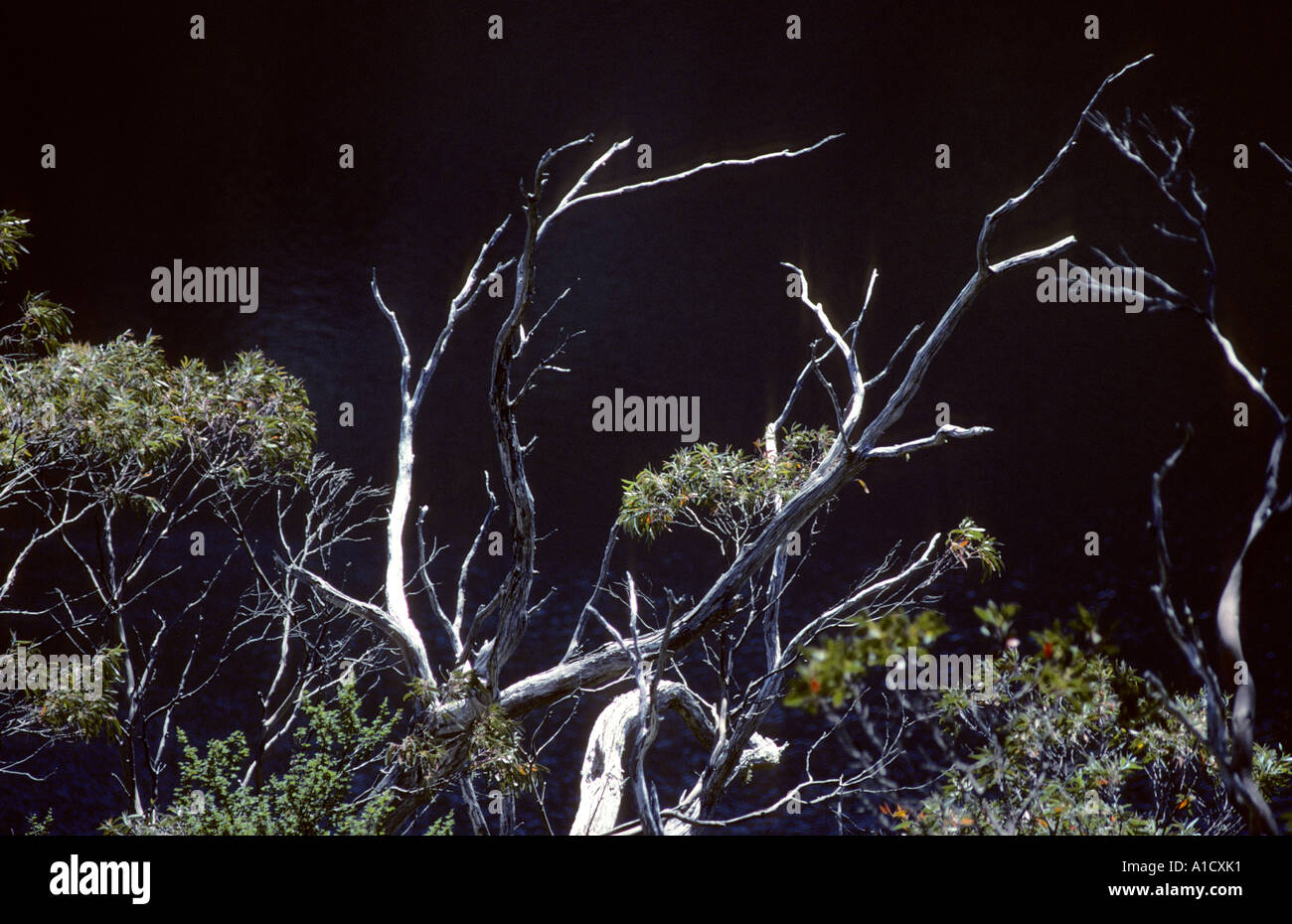 Hanson lake hi-res stock photography and images - Alamy