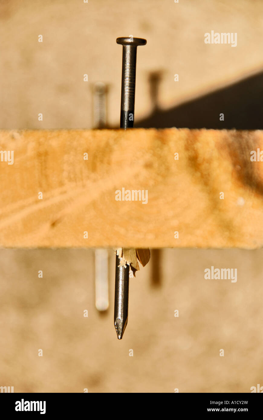 nails through board 2 Stock Photo - Alamy