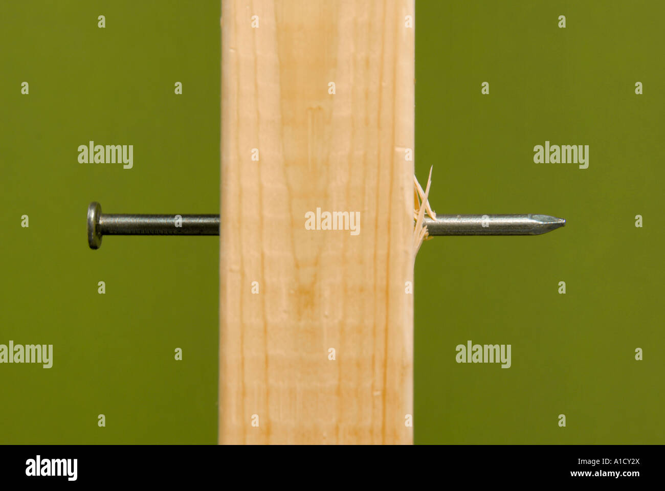 nail through board Stock Photo - Alamy