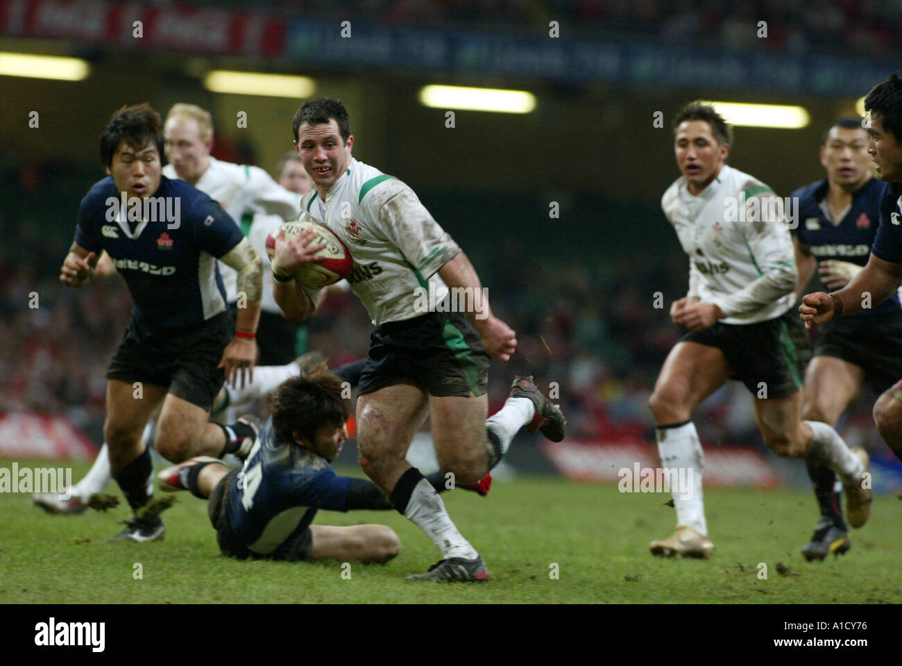 Gareth Cooper High Resolution Stock Photography and Images - Alamy