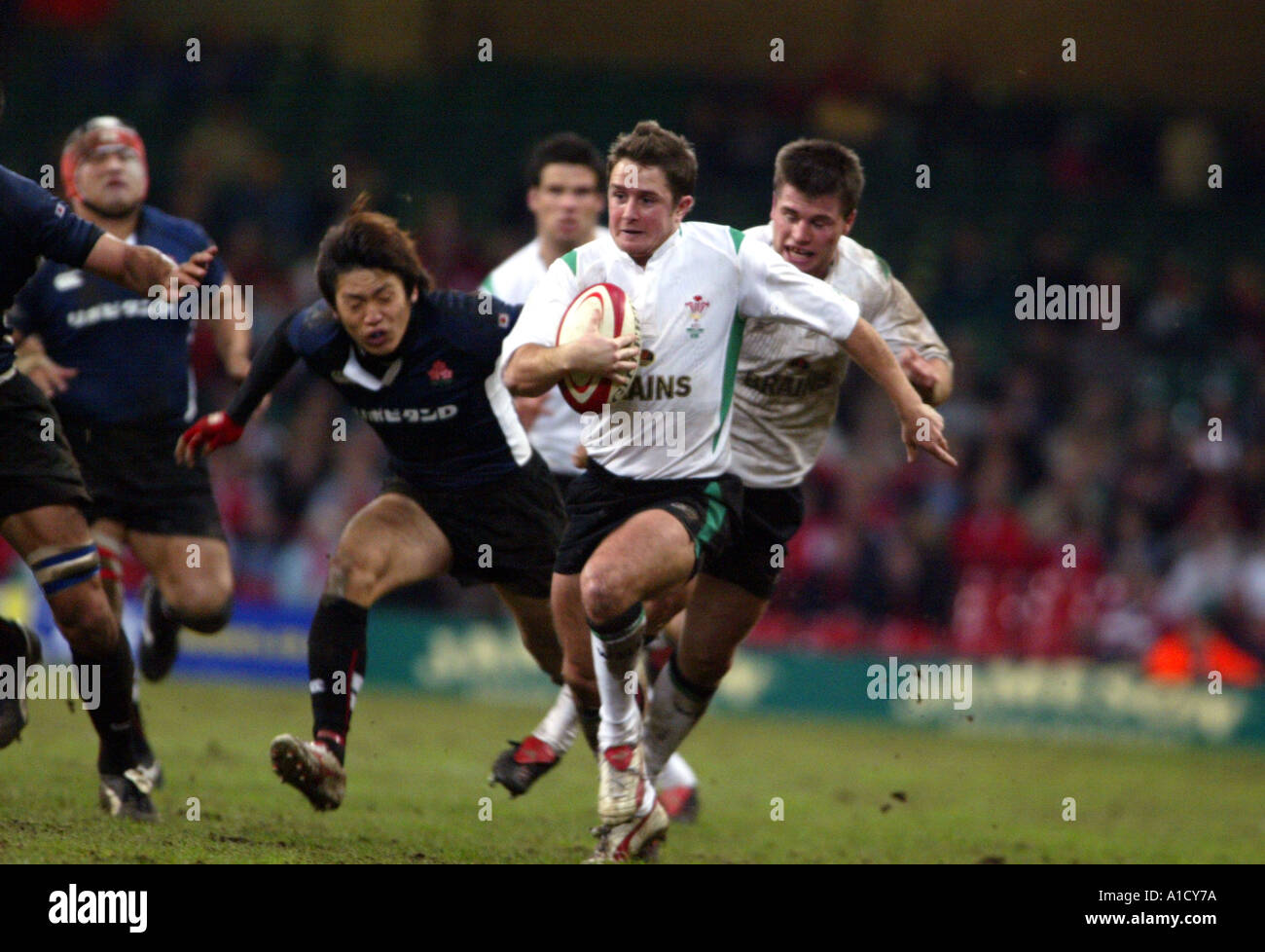 Japan national stadium inside hi-res stock photography and images - Alamy