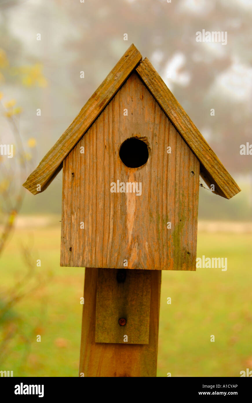 Colourful birdhouse hi-res stock photography and images - Alamy