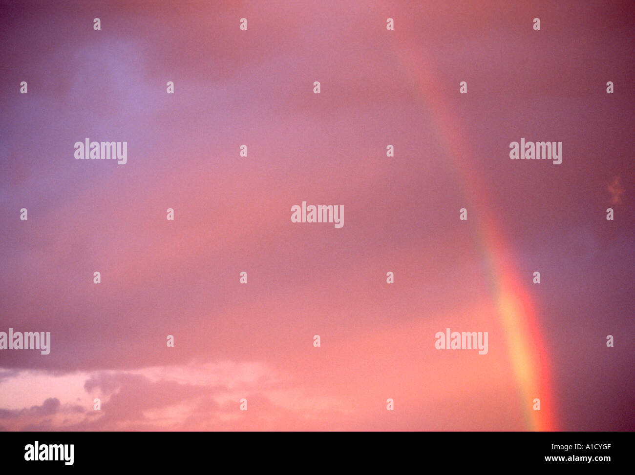 Salmon colored sky hi-res stock photography and images - Alamy
