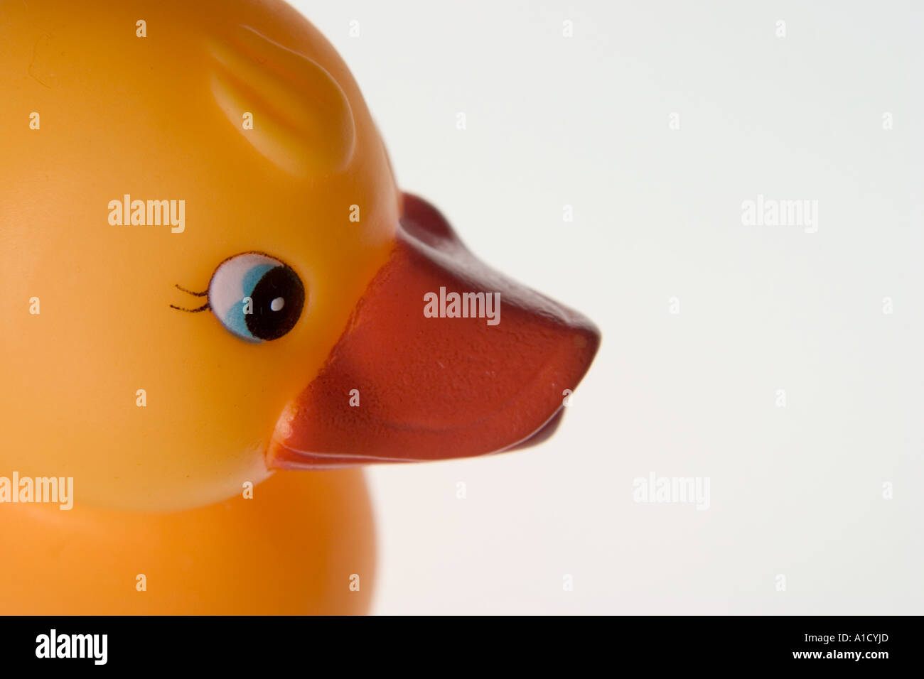 Yellow rubber duck Stock Photo - Alamy