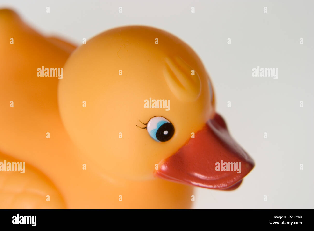 Yellow rubber duck Stock Photo - Alamy