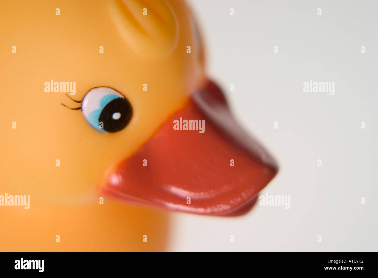 Yellow rubber duck Stock Photo - Alamy