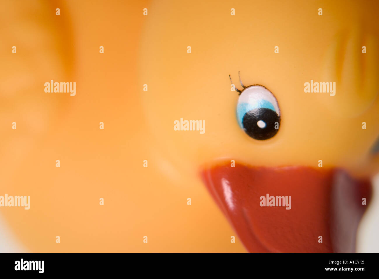 Yellow rubber duck Stock Photo - Alamy