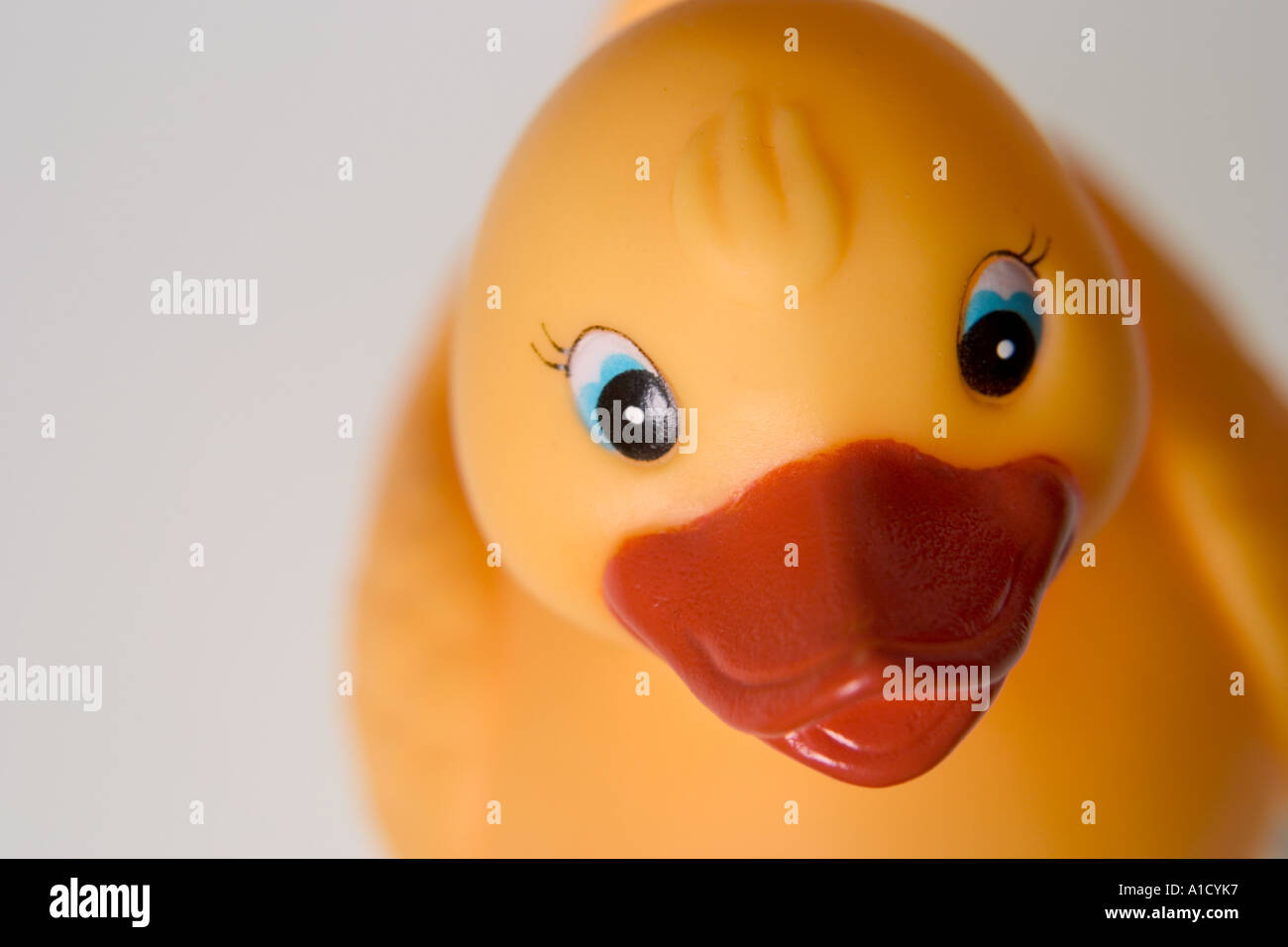 Yellow rubber duck Stock Photo - Alamy