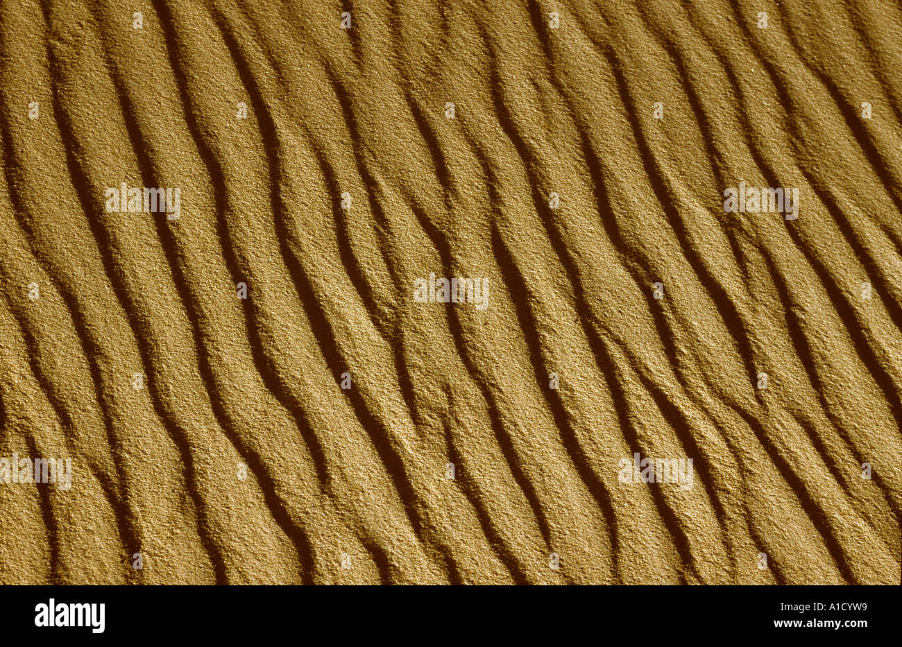 Australia tasmania sand dunes hi-res stock photography and images - Alamy