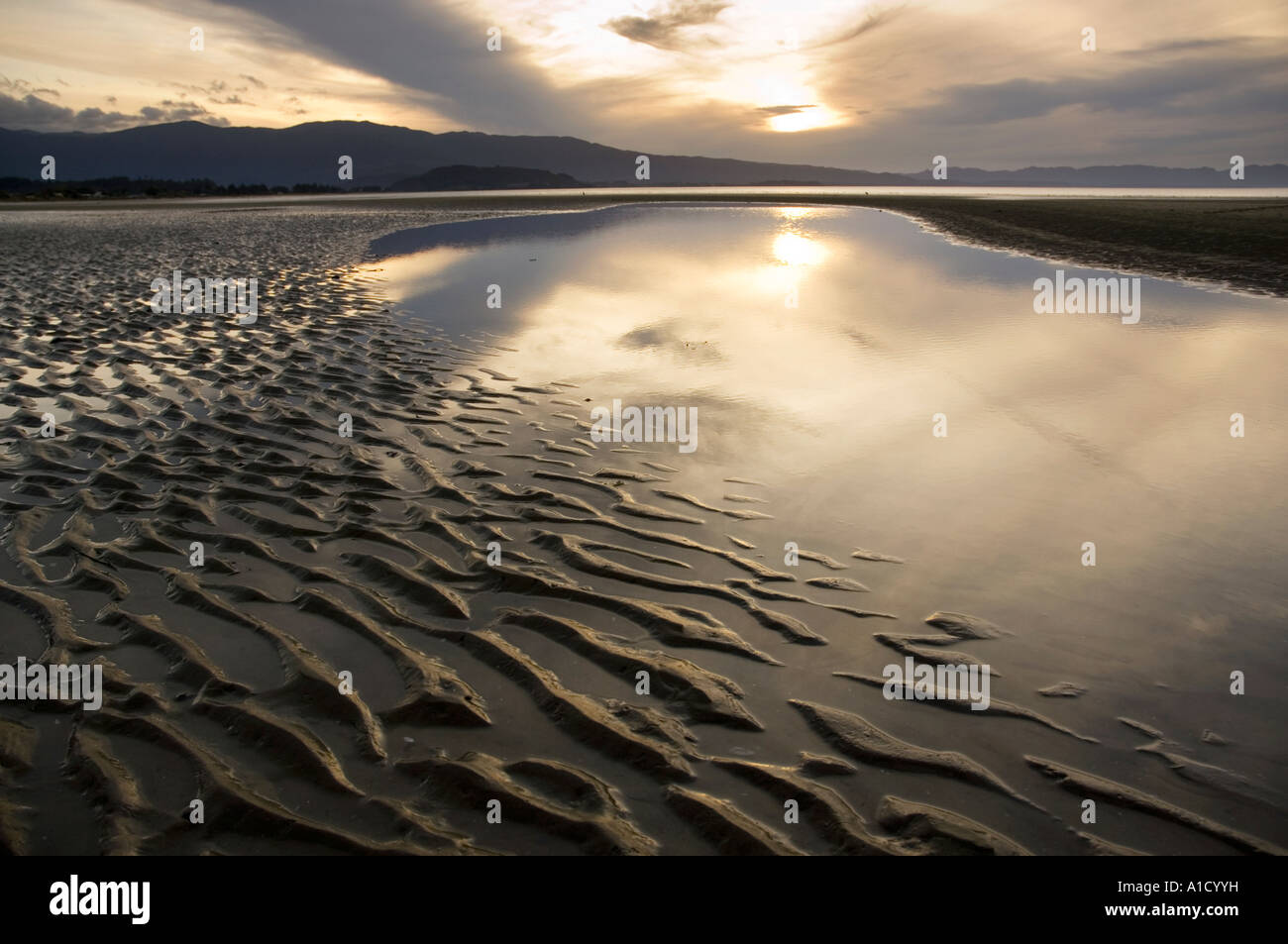 Pohara beach new zealand hi-res stock photography and images - Alamy