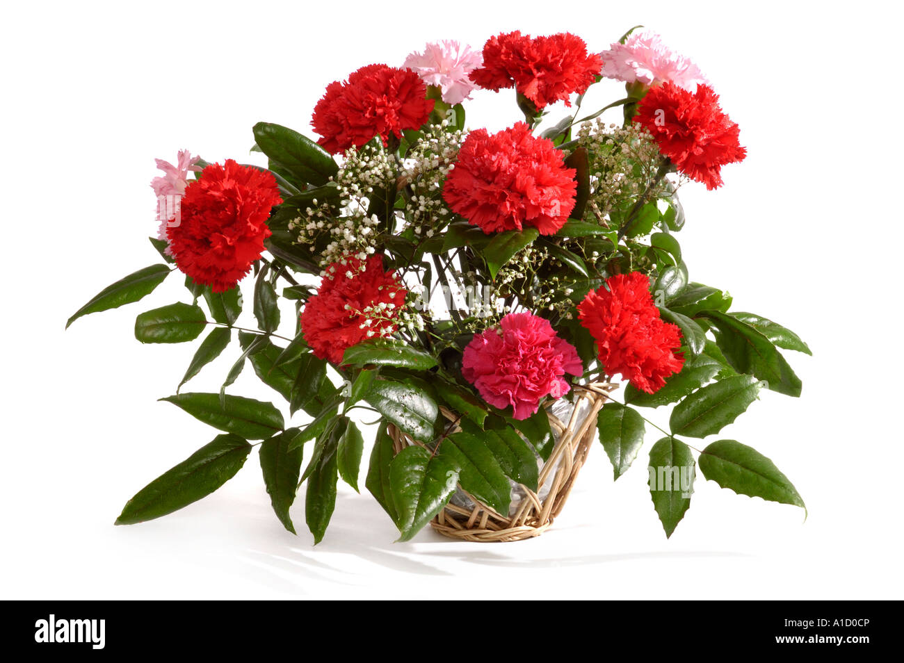 Posy of carnations hi-res stock photography and images - Alamy