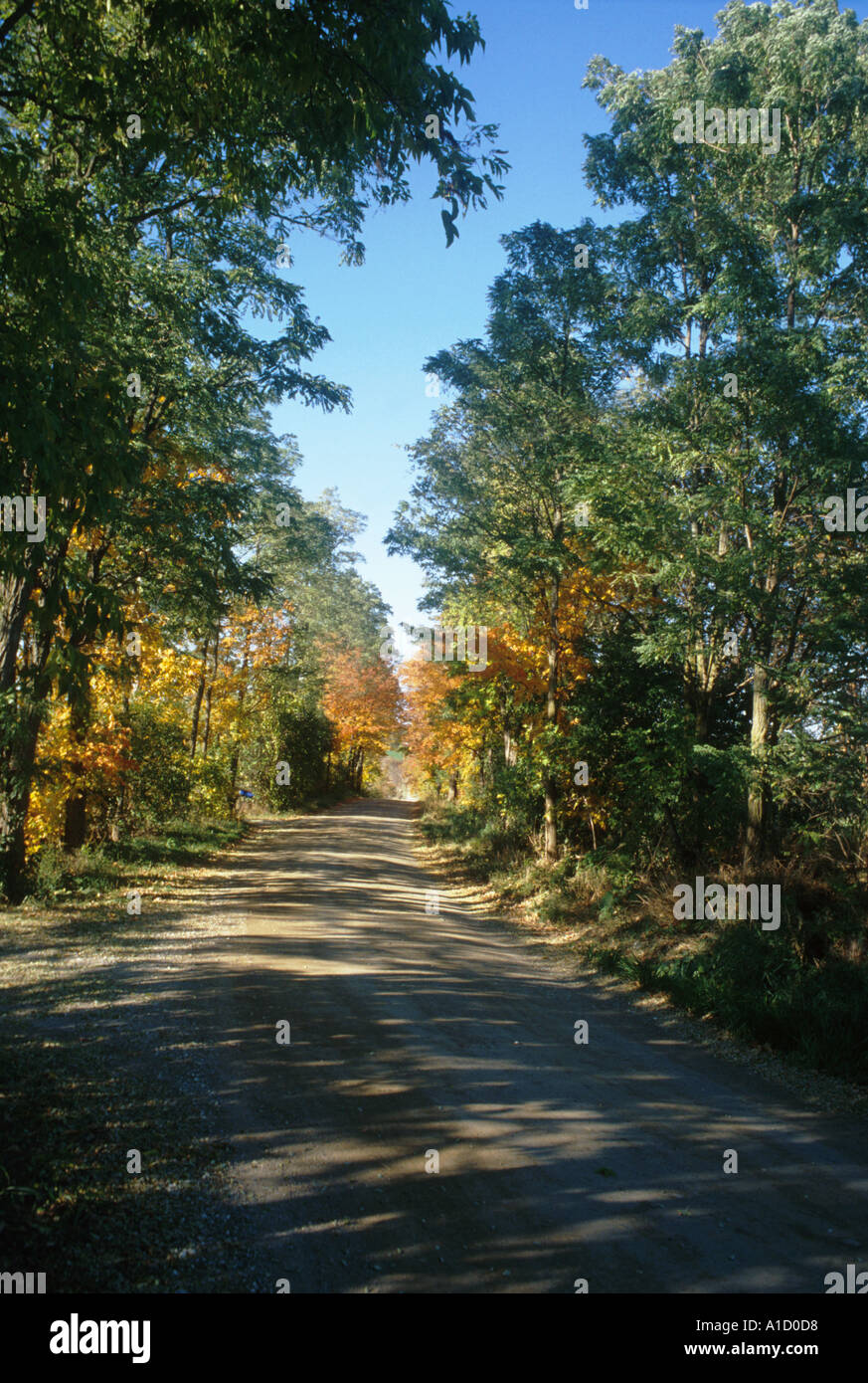 Vermont Fall Foliage Road Stock Photo - Alamy