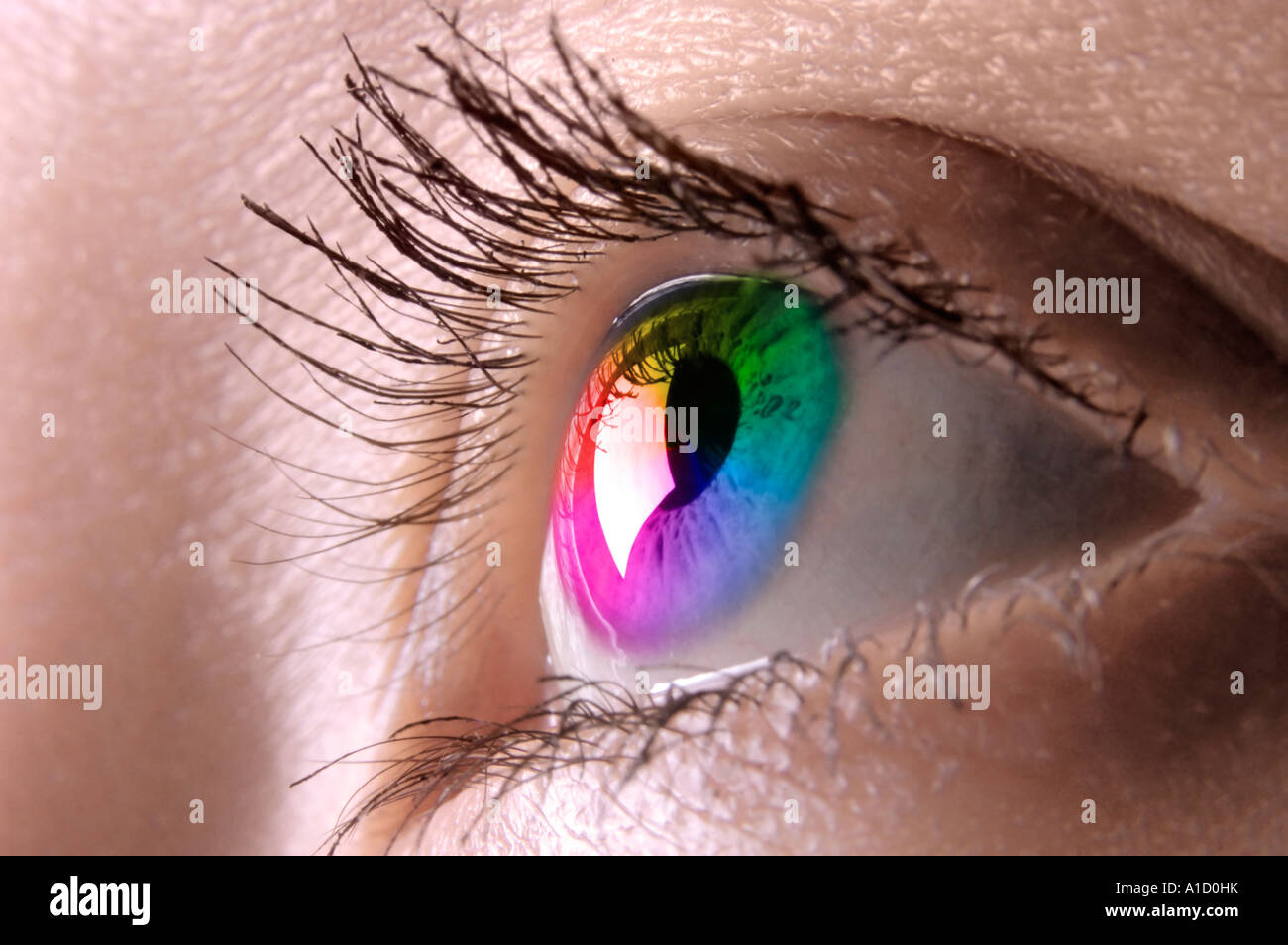 Colorful female eye Stock Photo - Alamy