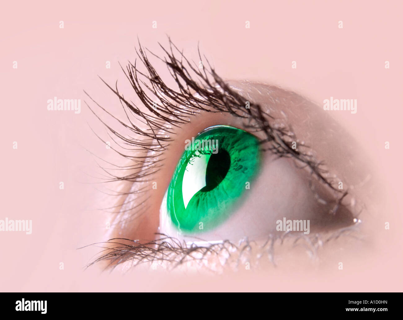 Iris eye cutout hi-res stock photography and images - Alamy