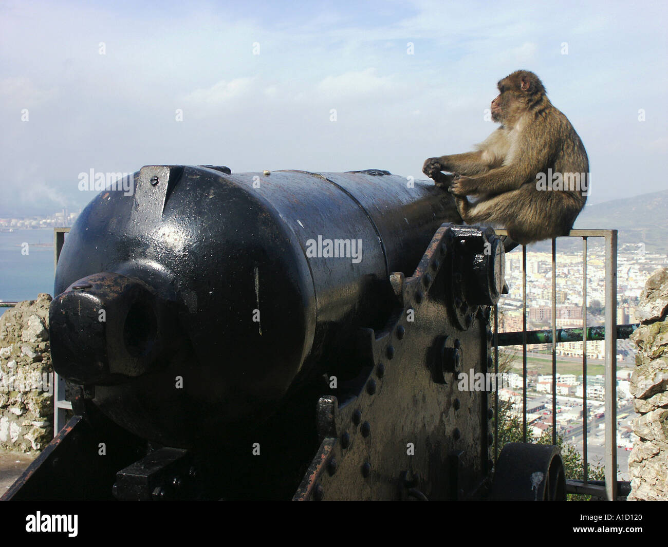 Monkeys With Machine Guns