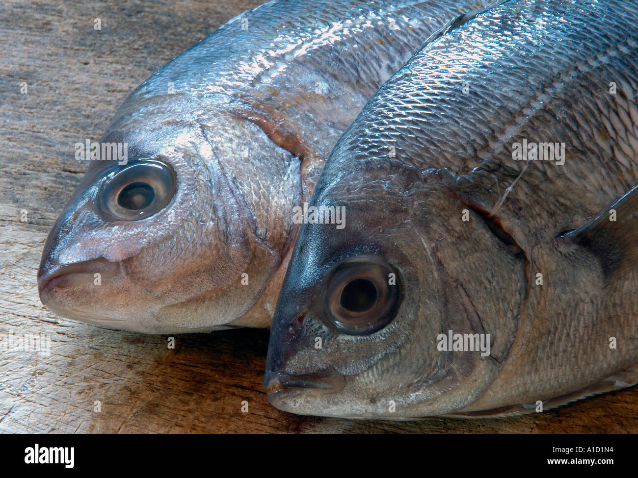 Foodcatalog hi-res stock photography and images - Alamy