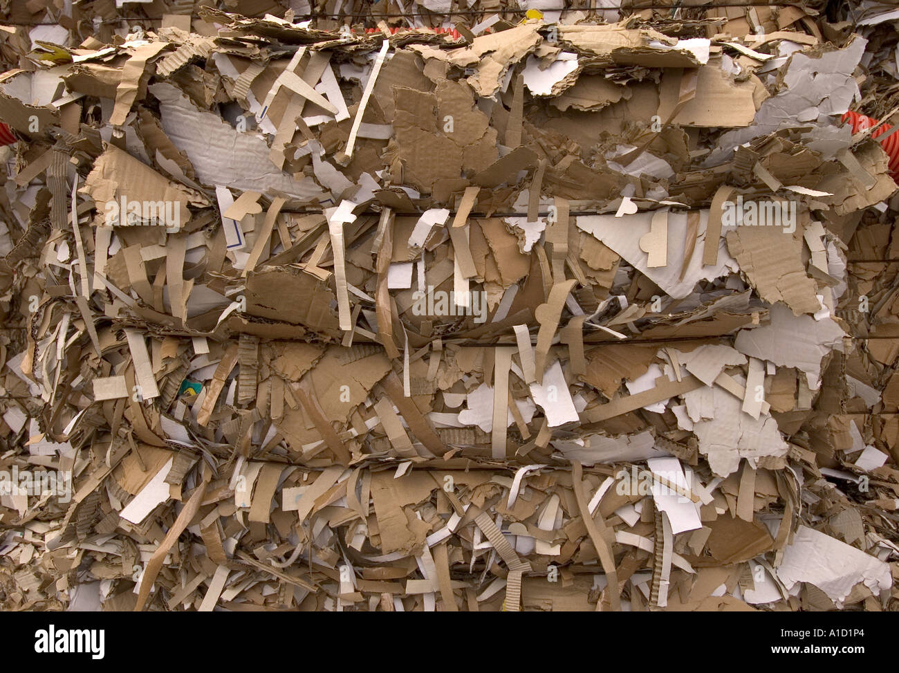 Paper waste bundled for recycling Stock Photo - Alamy