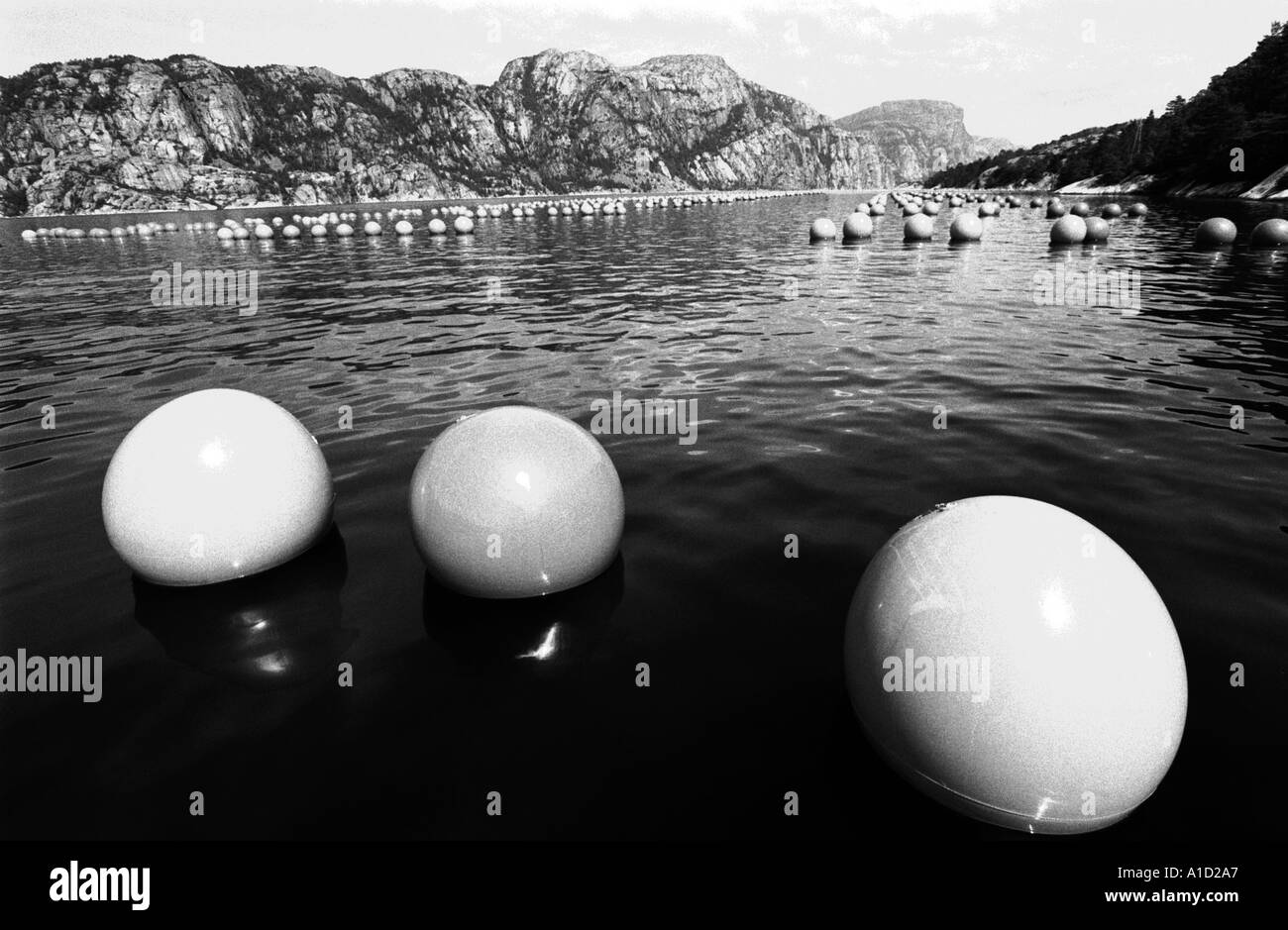 Shell fish farming Black and White Stock Photos & Images - Alamy