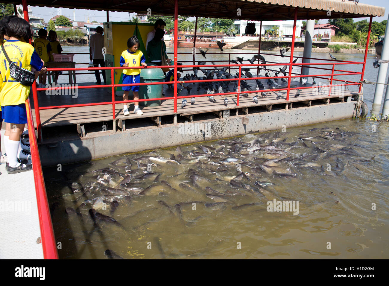 Catfish temple hi-res stock photography and images - Alamy