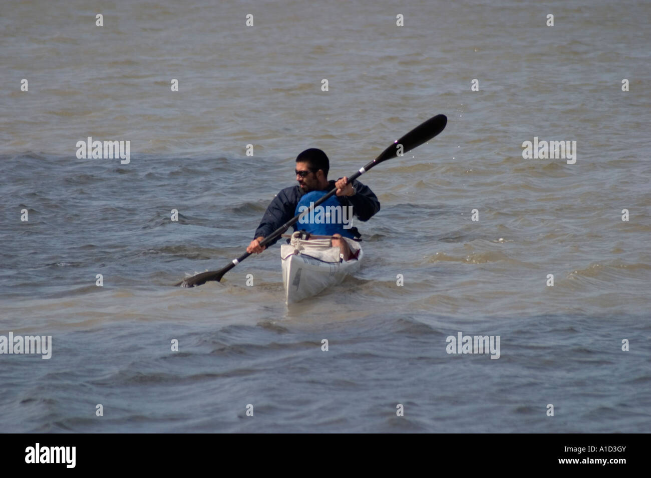 Man on outrigger canoe in Somme estuary St Valery sur Somme French ...