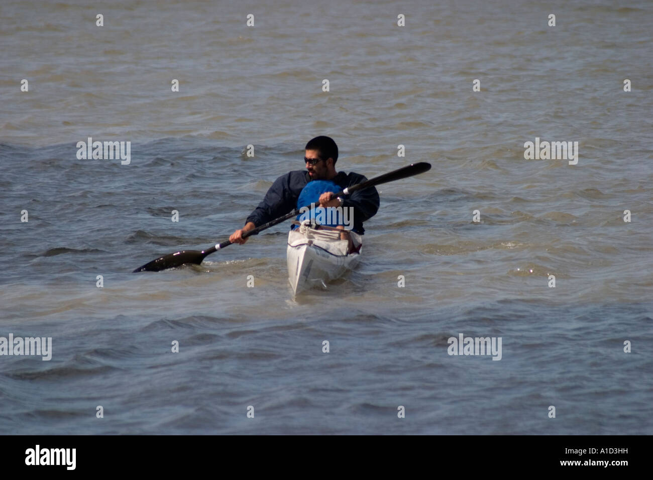Man on outrigger canoe in Somme estuary St Valery sur Somme French ...