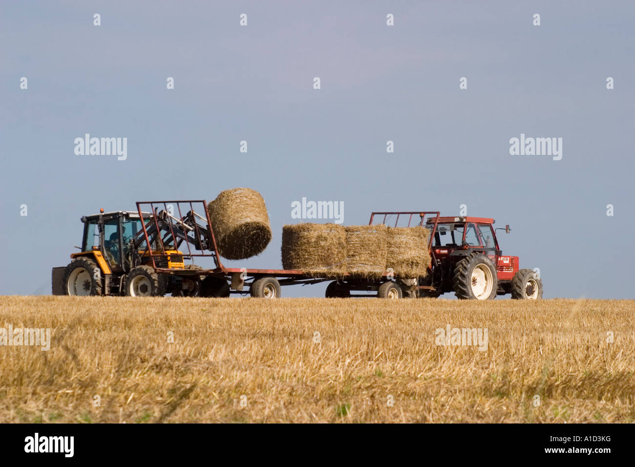 Tractor loading roules of hay onto trailer in field near Hesdin Pas de ...