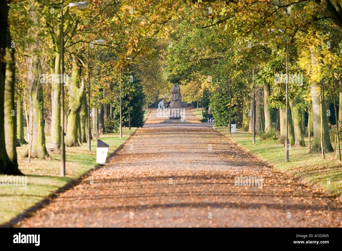 An autumn tree lined avenue in Edinburgh's Inverlieth park Stock Photo ...