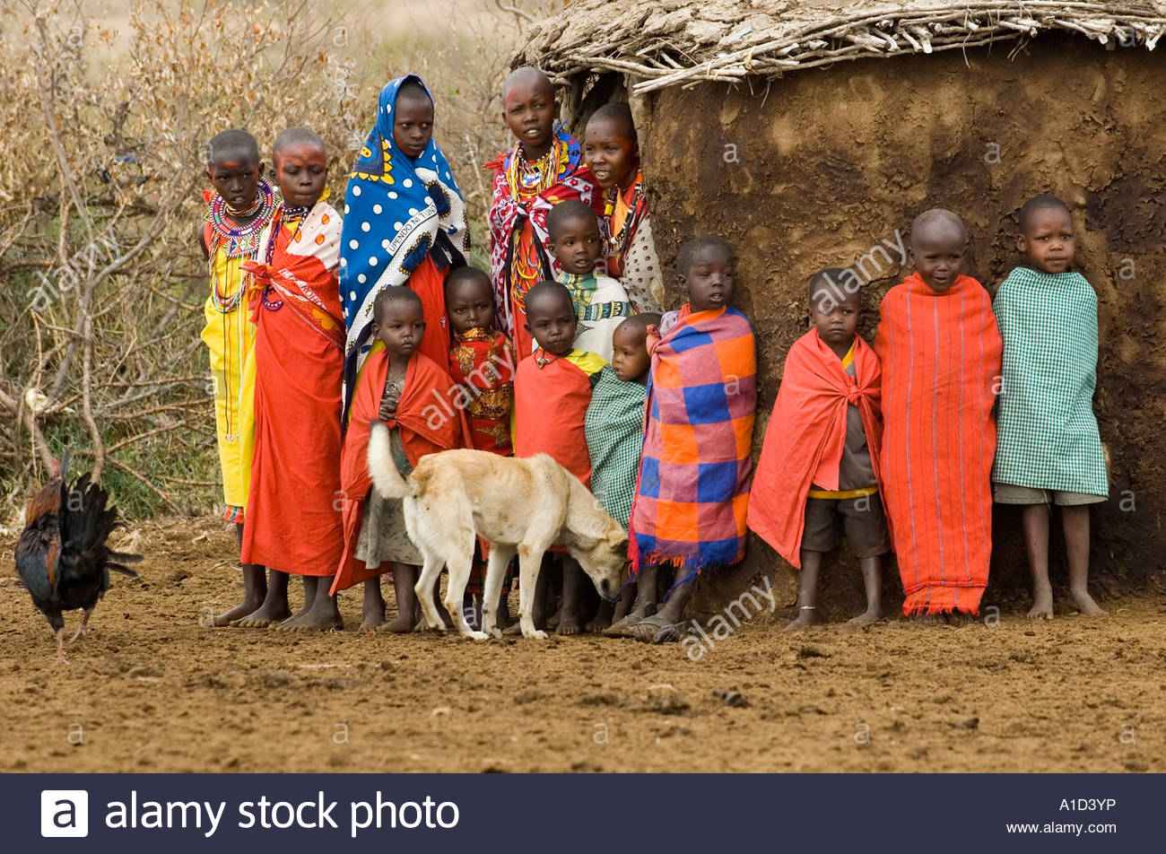 Masai Children And Cattle High Resolution Stock Photography and Images ...