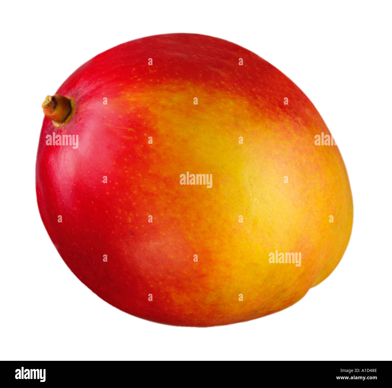 WHOLE MANGO ON WHITE Stock Photo - Alamy
