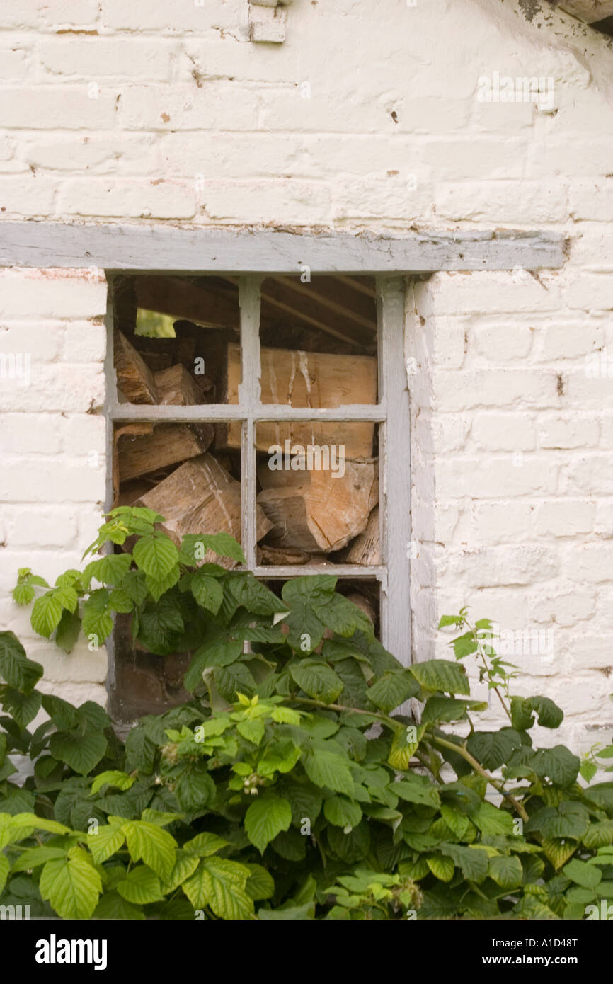 Logs stored in outhouse visible through glassless window and brambles ...