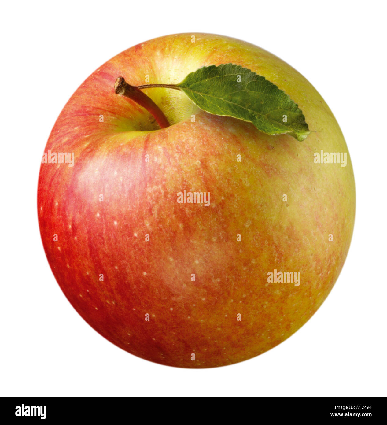 WHOLE RED APPLE ON WHITE Stock Photo - Alamy