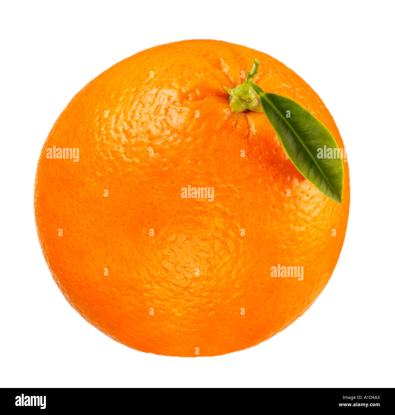 WHOLE ORANGE ON WHITE Stock Photo - Alamy