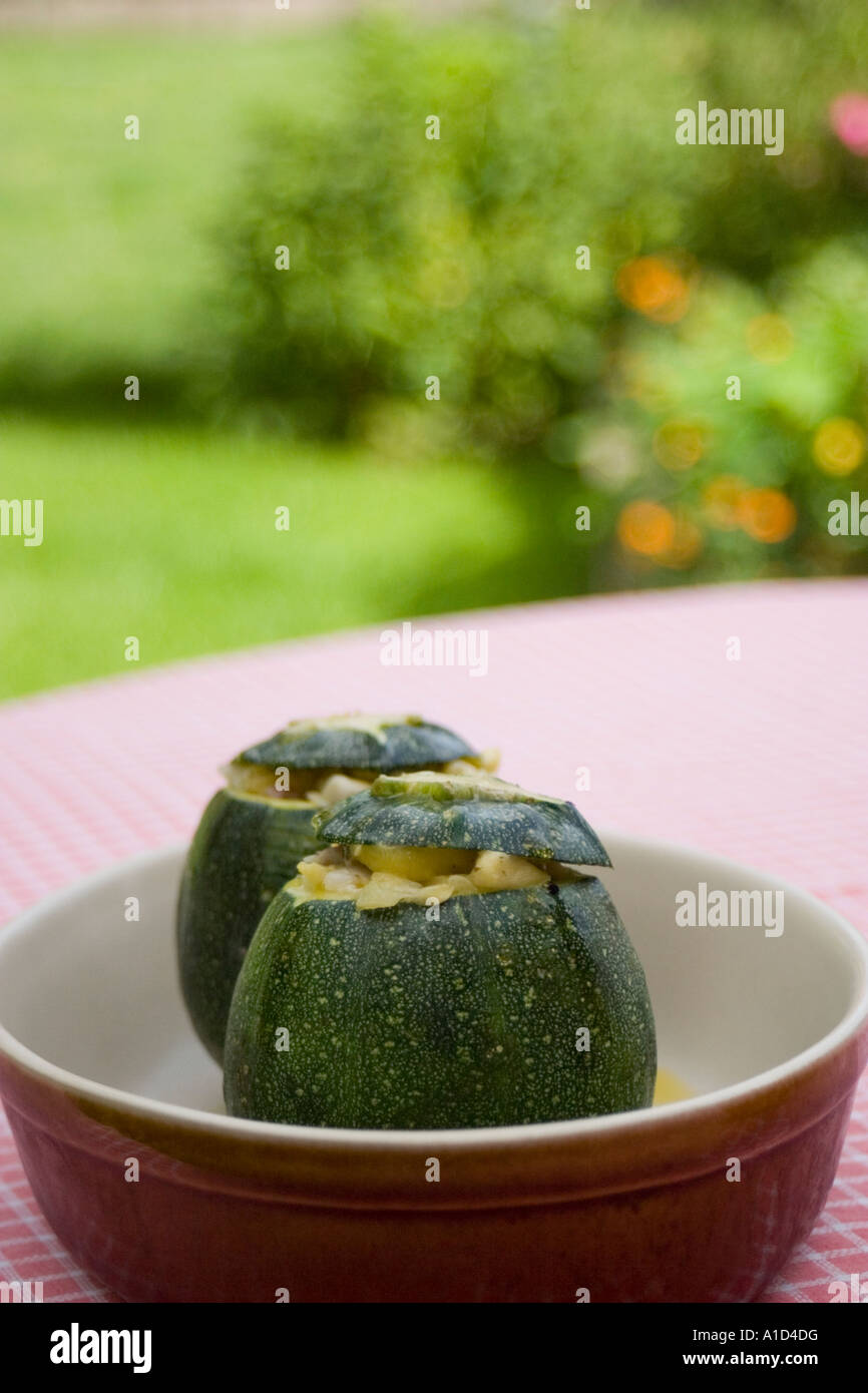 Stuffed courgettes in glazed dish prepared and ready for cooking in ...