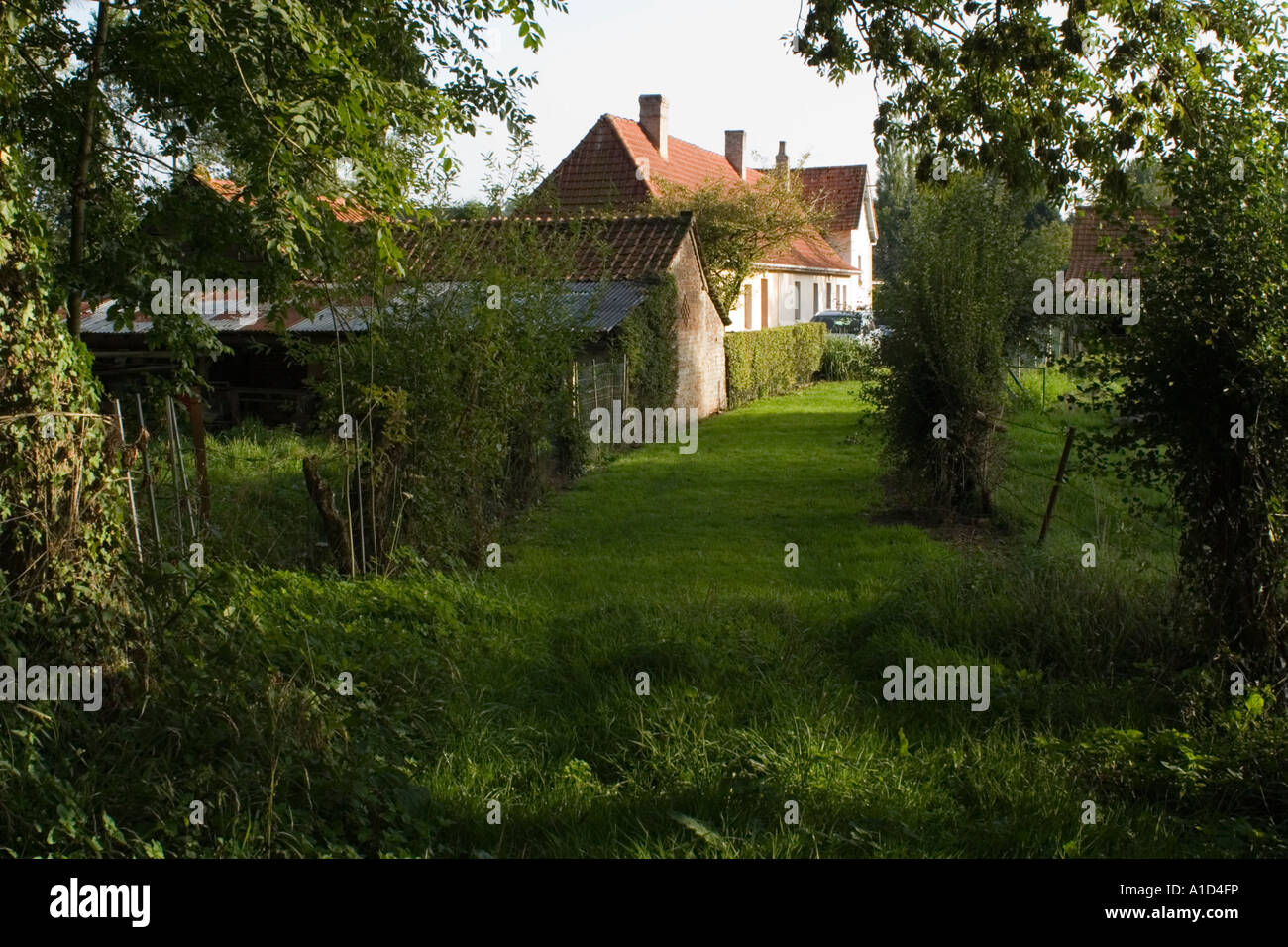 Rural cottage lane hi-res stock photography and images - Alamy